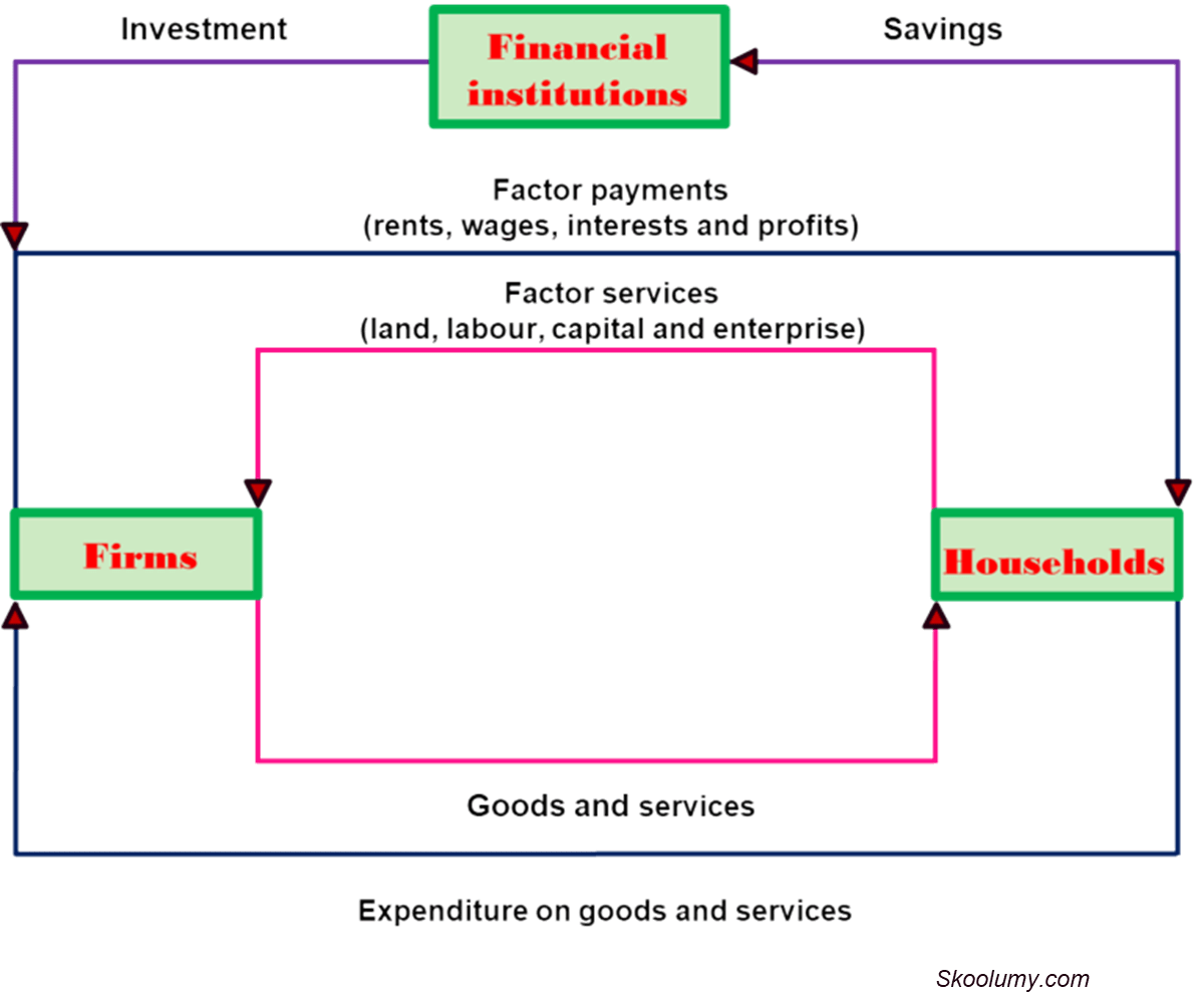 Introduction to Circular Flow of Income | Skoolumy