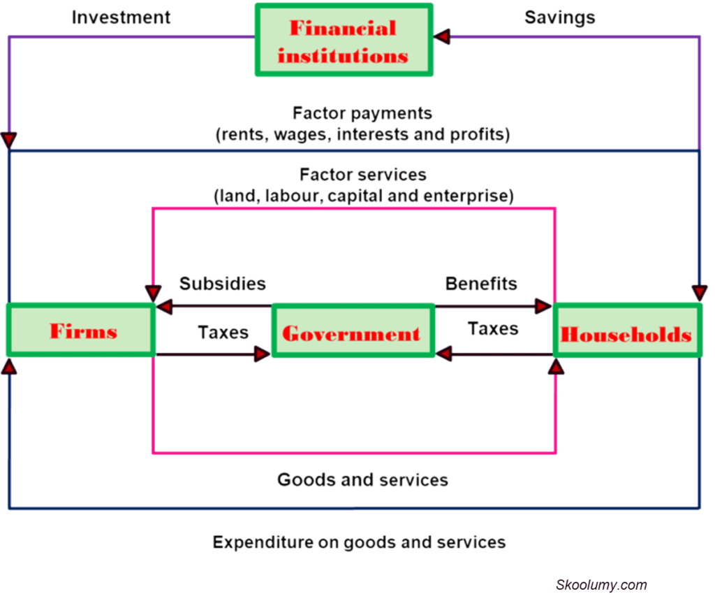 Introduction to Circular Flow of Income | Skoolumy