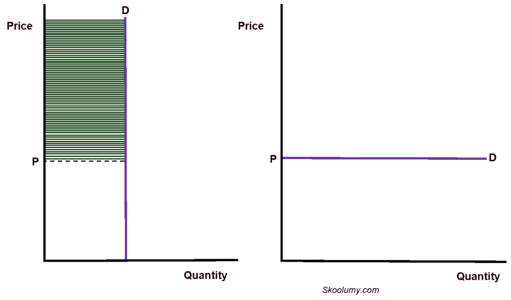 Consumer Surplus and Producer Surplus | Skoolumy