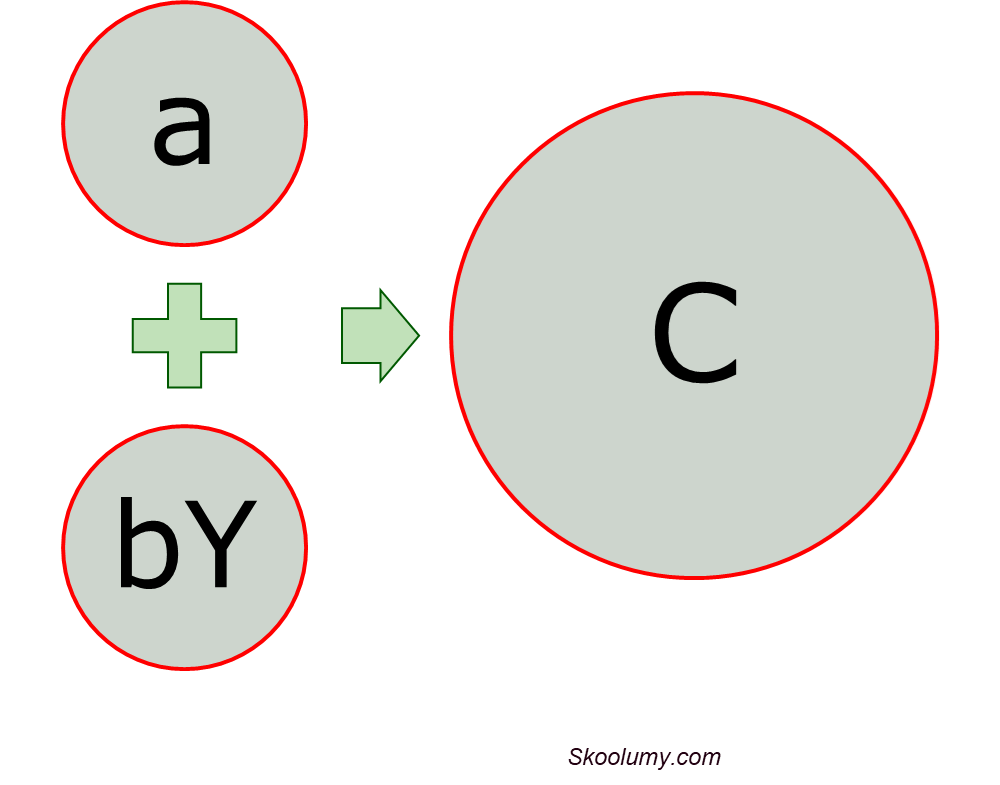 Economic Model Skoolumy 8908