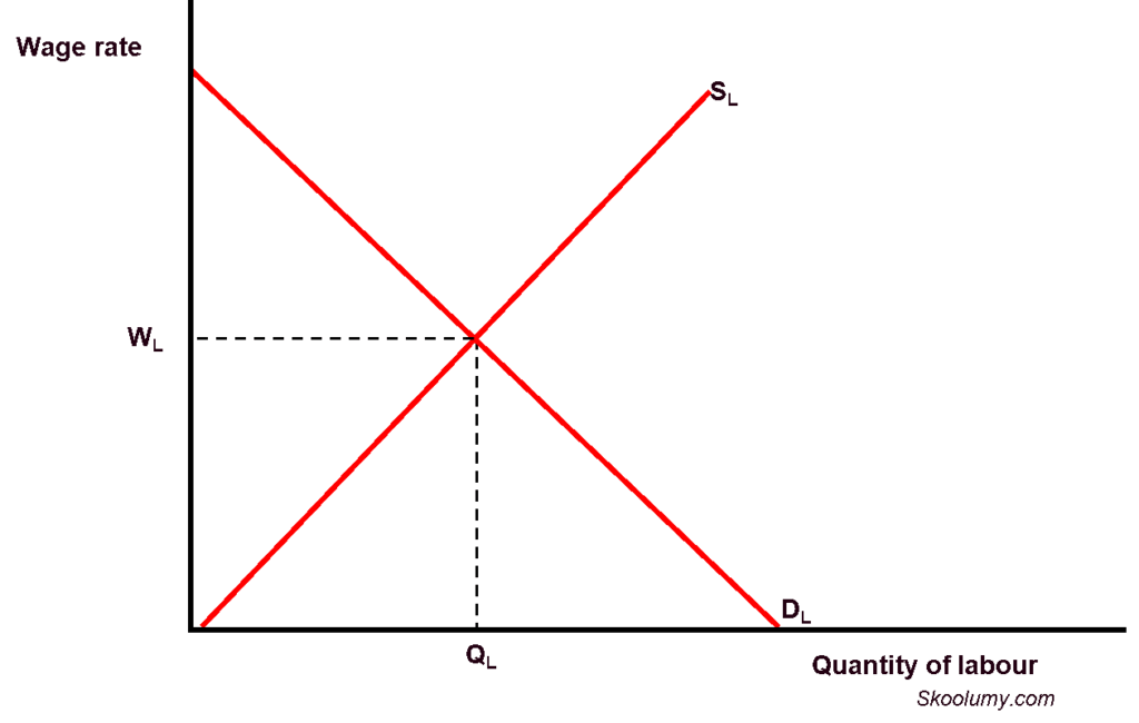 Wage Determination | Skoolumy